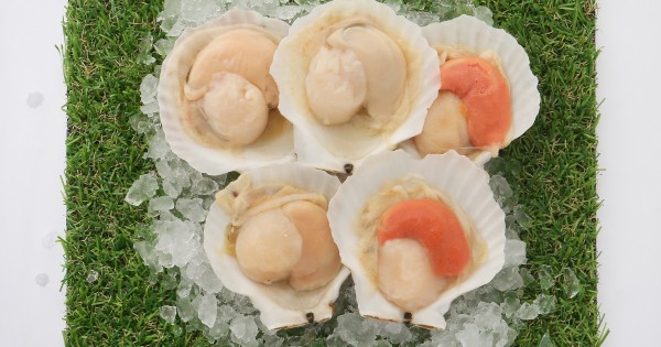 1/2 Shell Scallop Meat