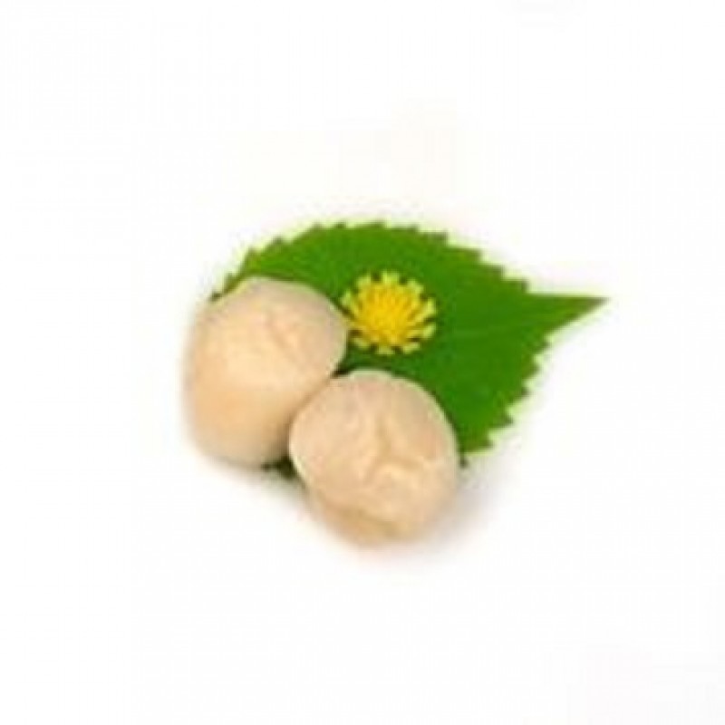 US/Canada Scallop Meat